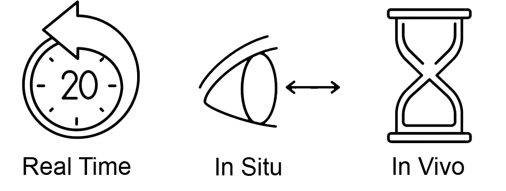 Best Practices in Fiber Optic Dissolution Testing Webinar